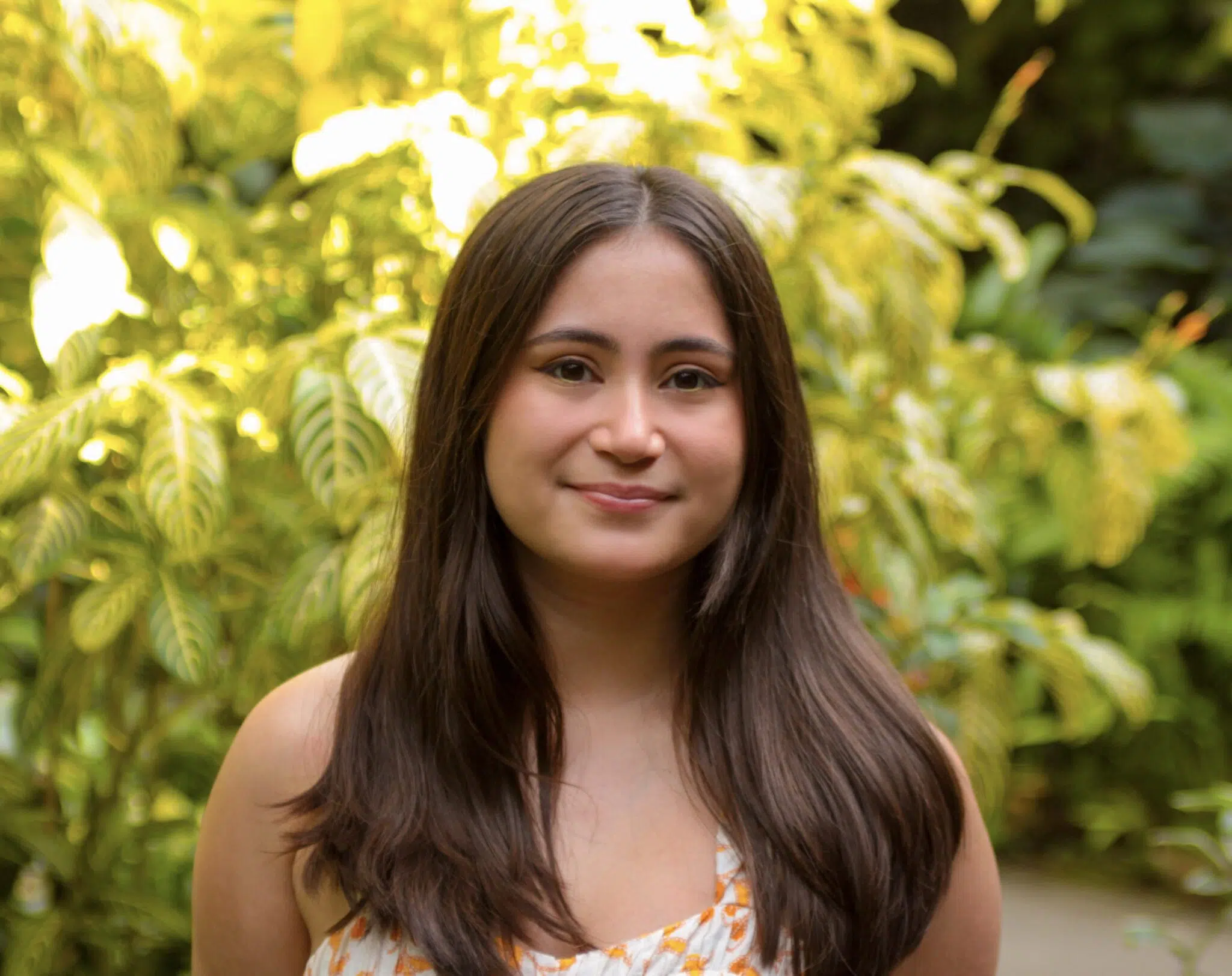 Scholar Advisory Committee - Asian Pacific Islander American Scholars